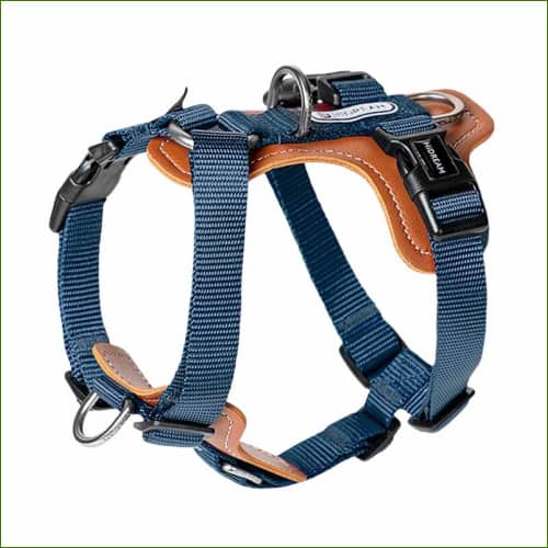 Harnais réglable pour chien en cuir double attache |PEPERE SHOP