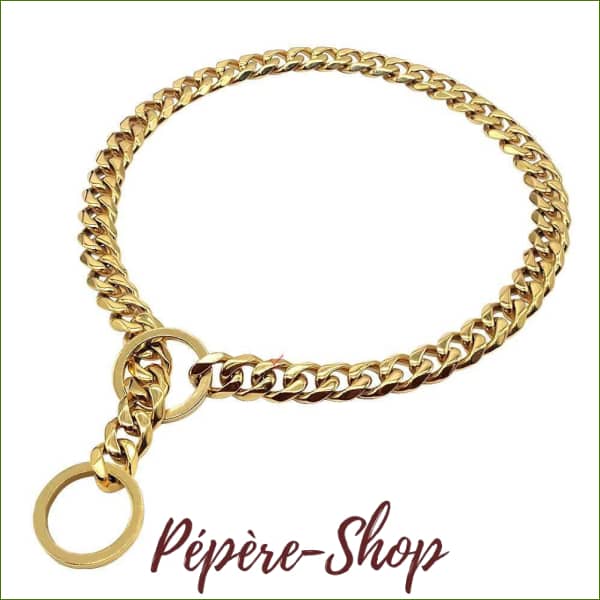 Achetez ce collier martingale pour chien en chaine sur PEPERE SHOP